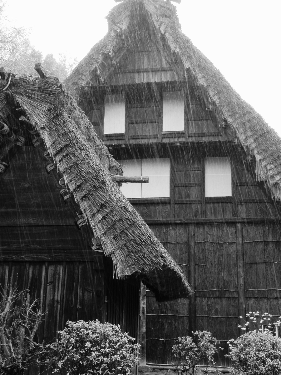 雨の中、川崎市立日本民家園（神奈川県川崎市多摩区）で撮影したスナップショット～(^^)/: カメラと写真と猫と